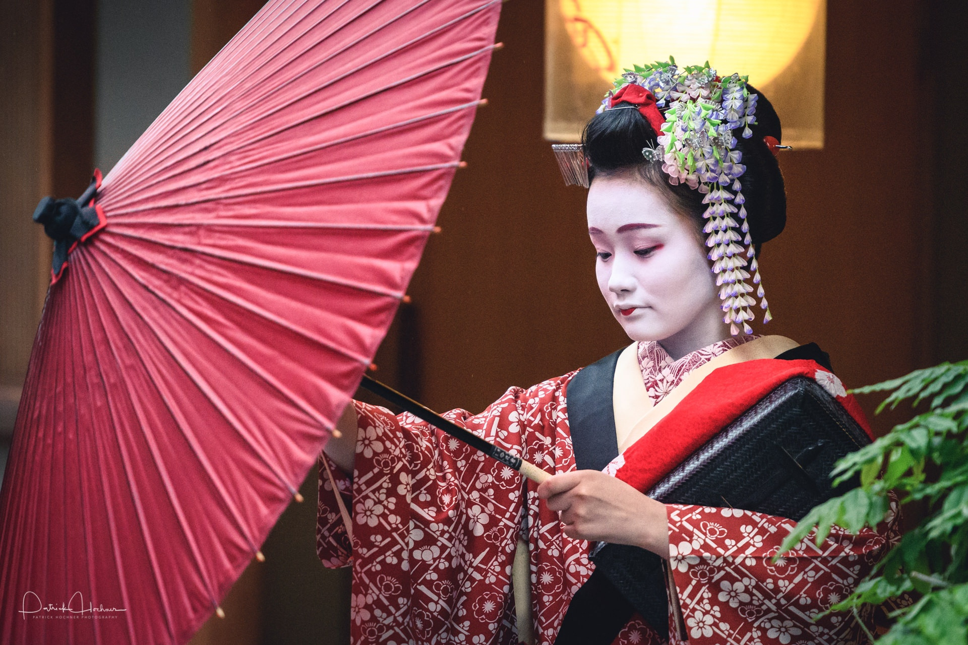The World of the Geisha - My Kyoto Photo